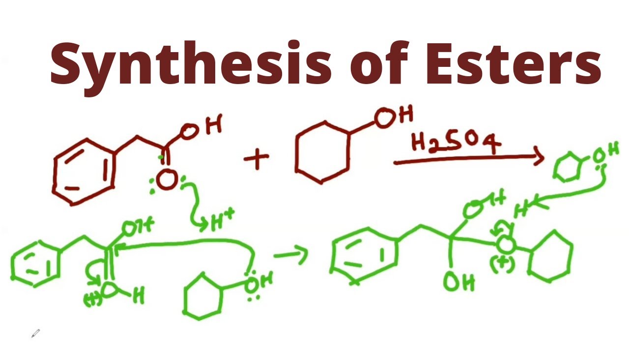 Synthesis of Esters (Organic Chemistry) - YouTube