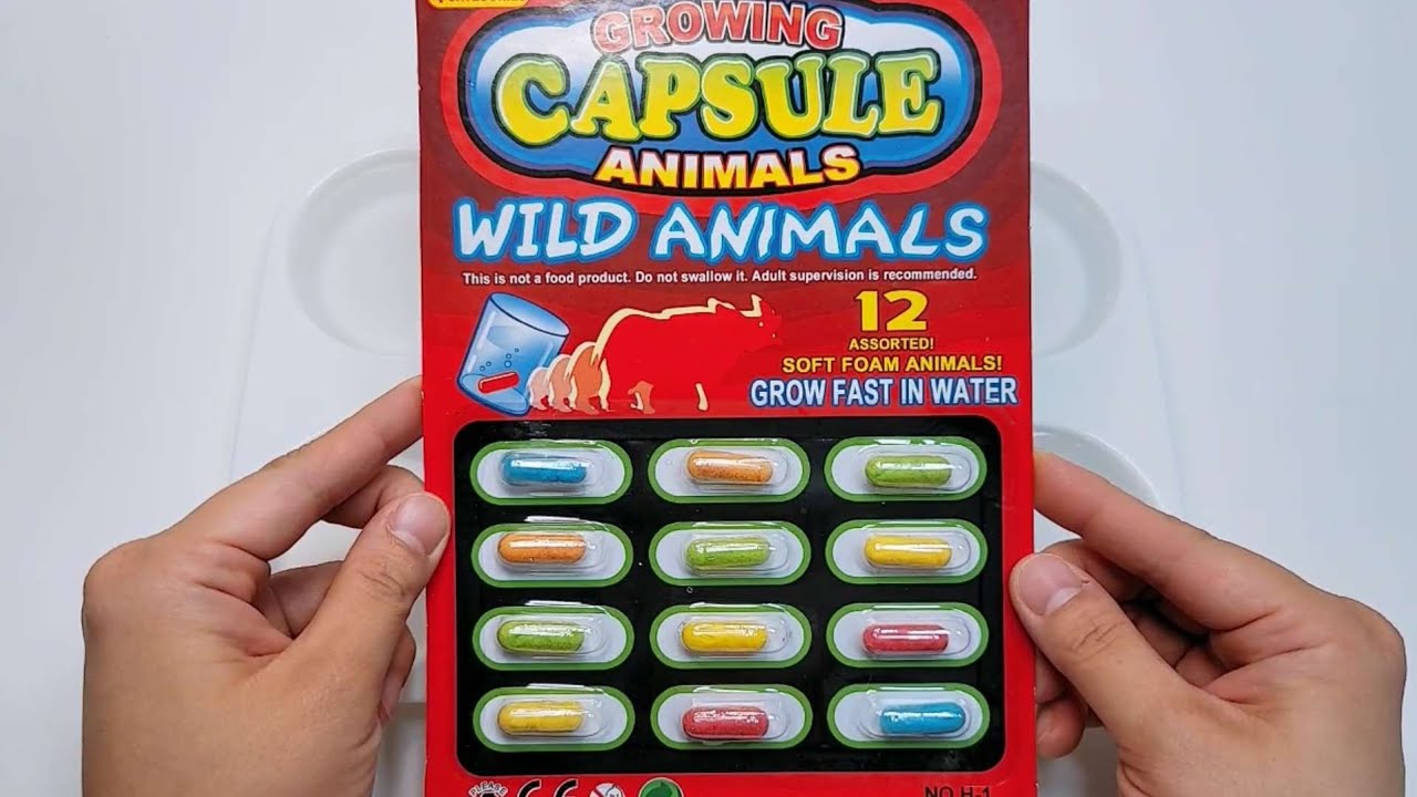 Growing capsule animals 캡슐안에서 어떤 동물이 나올까요? / 색깔 동물 영어 - YouTube