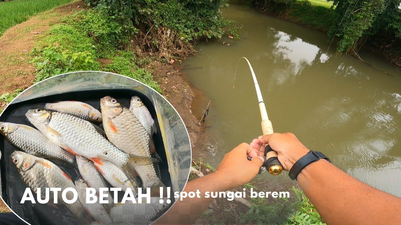 SPOT SEPERTI INI.. !! HASIL DI LUAR DUGAAN || MANCING IKAN BREK,IKAN ...