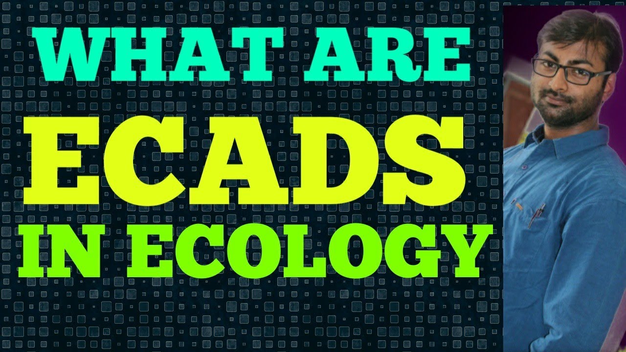 Ecads || Ecophenes with Example | ECOLOGY - YouTube
