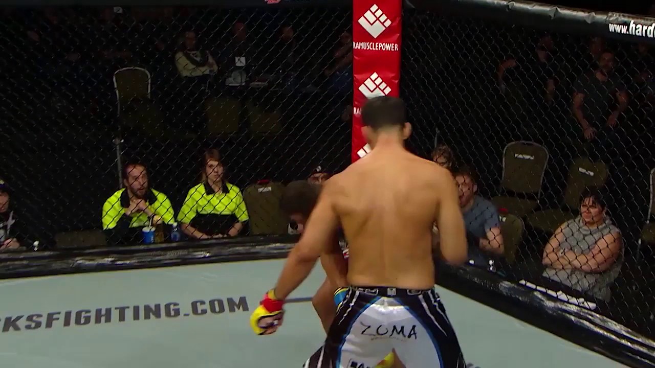 Fight Of The Day - MMA Fighter Destroys Opponent With Insane Head Kick ...