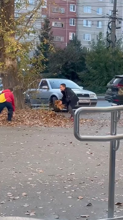 Сравнение цен на кроссовки Ecco. Где выгоднее купить #цены #обувь # ...