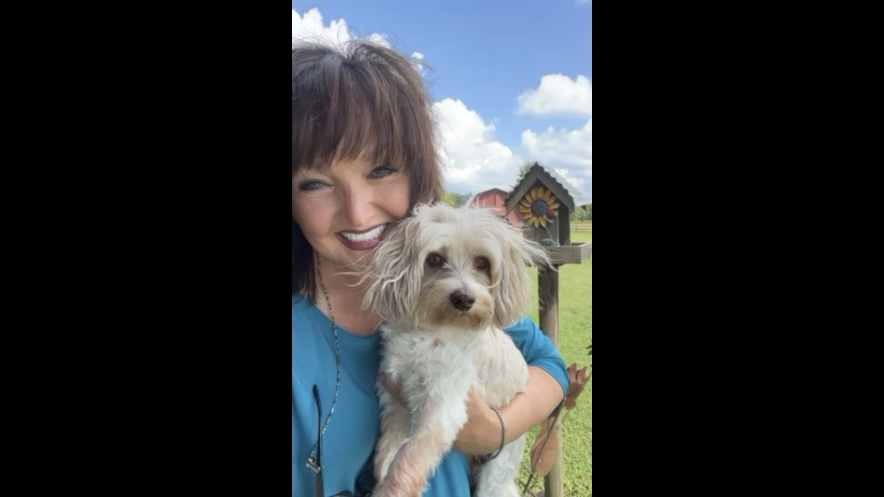 Meet me at The Millhouse and beyond! - YouTube