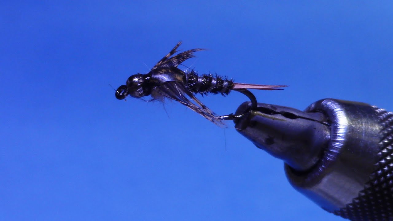 Twenty Incher Beadhead - YouTube