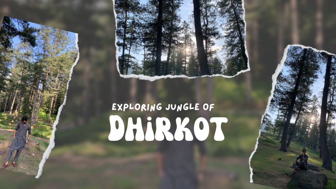 Exploring the Jungle of Dhirkot | ft. Mother Tree - YouTube