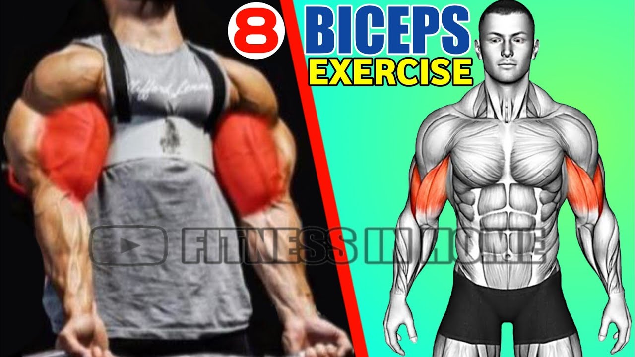 How To Build Your Biceps First (Effective Exercises) || bicep banane ka ...