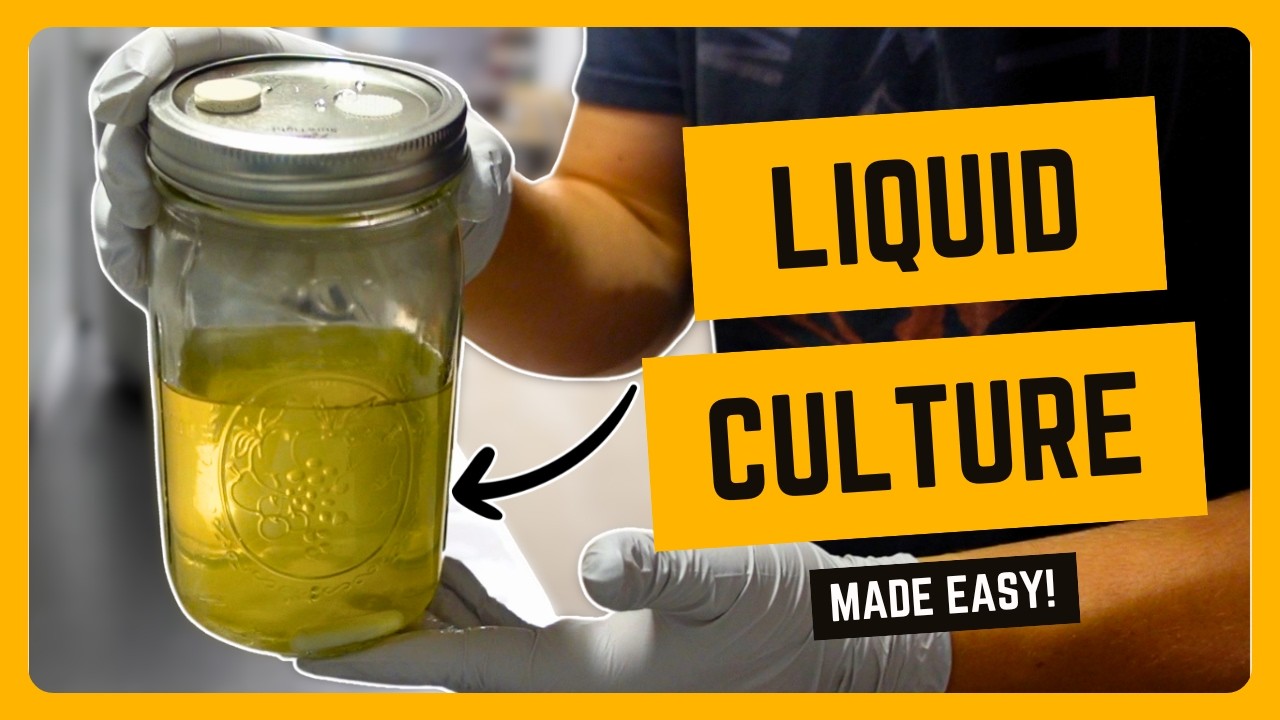 How to Make Liquid Culture for Mushroom Cultivation - YouTube