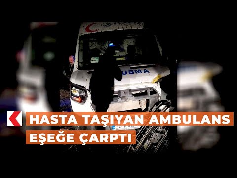 Hasta taşıyan ambulans eşeğe çarptı