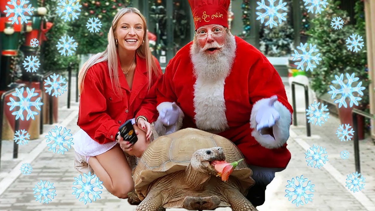 Christmas Gift Tortoise Reunites With Santa - YouTube