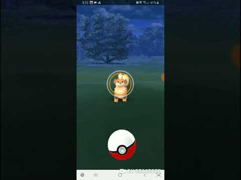 Cursed Mewtwo Buddy Catch | Pokemon GO - YouTube
