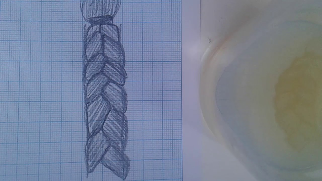 How to draw plat and a face - YouTube