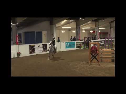 Darcy Breen and Pixie Arena UK Large Pony Premier JC:JD 03:2023 Lap of ...