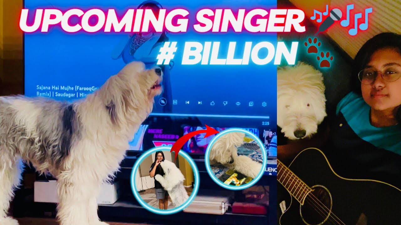 Upcoming singer🎤🎶 # BILLION || New Talent showcased || Thaireddy vlog's ...