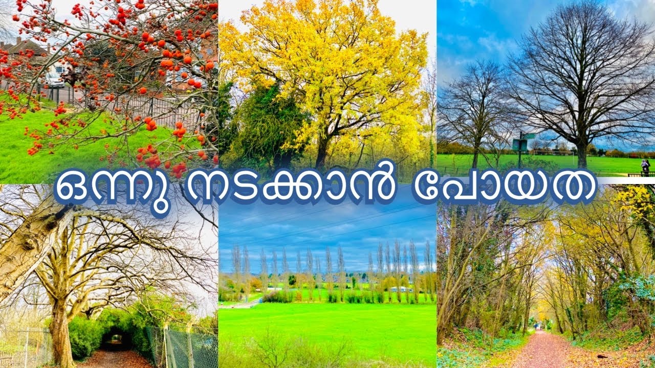 Autumn season England/ How is Autumn/ Beauty of Autumn Season.Malayalam ...