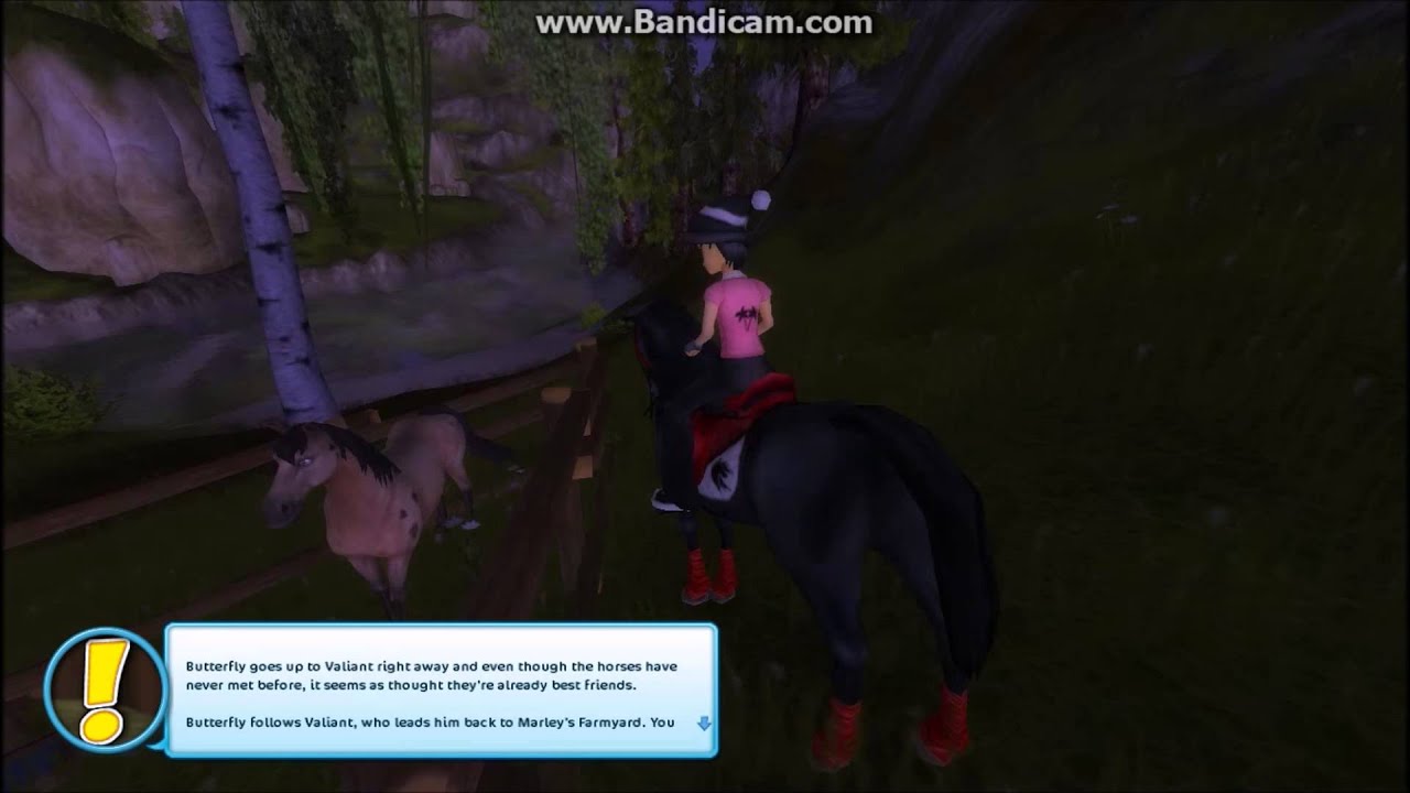 SSO Marley the horse trainer part 2 - YouTube