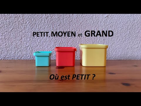 Une histoire (4): PETIT, MOYEN et GRAND - Où est PETIT ? - YouTube