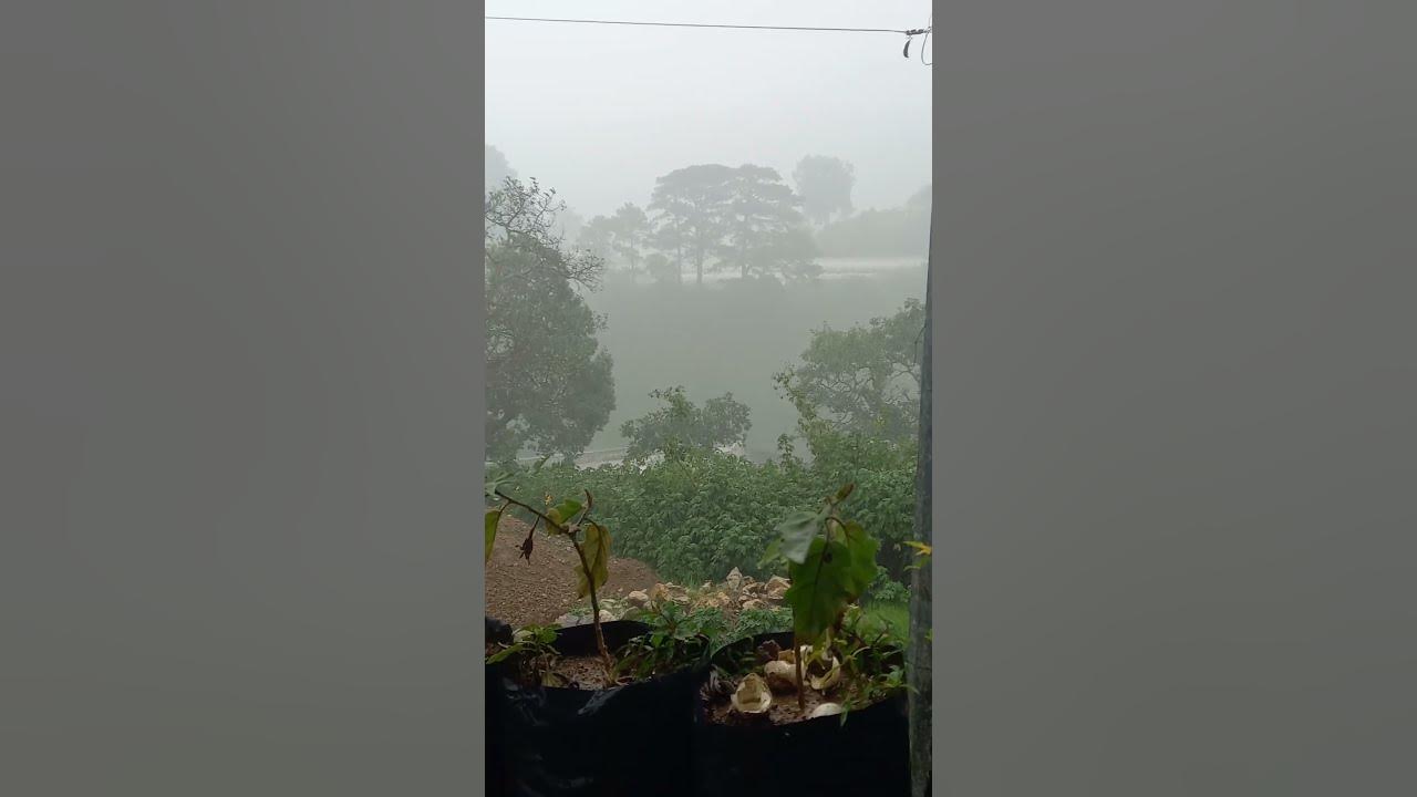#philippines #raining #nature - YouTube