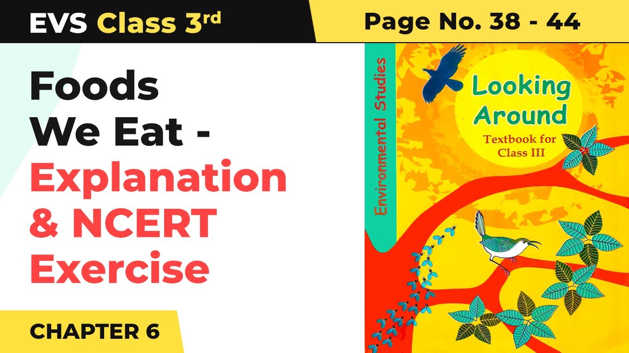 Class 3 EVS Chapter 6 | Foods We Eat - Explanation & NCERT Exercise (Pg ...