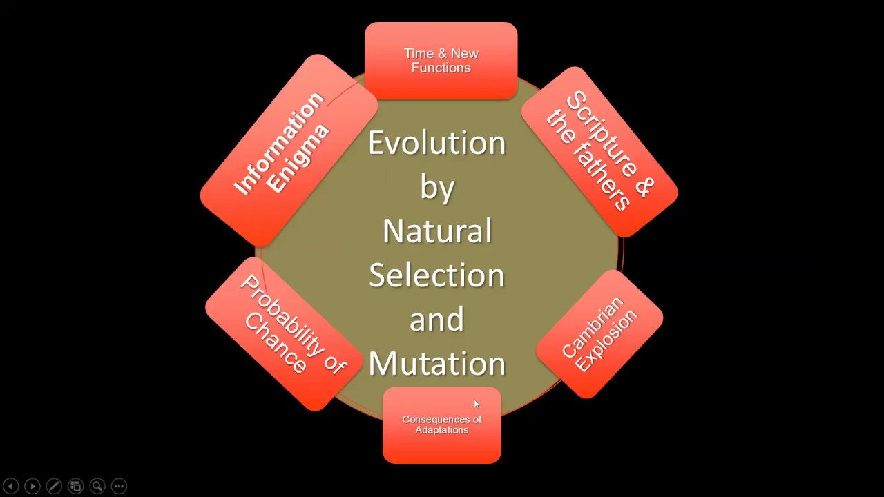 Evolution Challenges - Information Enigma - YouTube