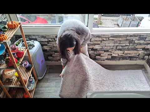 Rütin Bir Temizlik #temizlikrutini #derintemizlik#evtemizligi#evhalleri #temizlikkeyfi#cleanwithme#