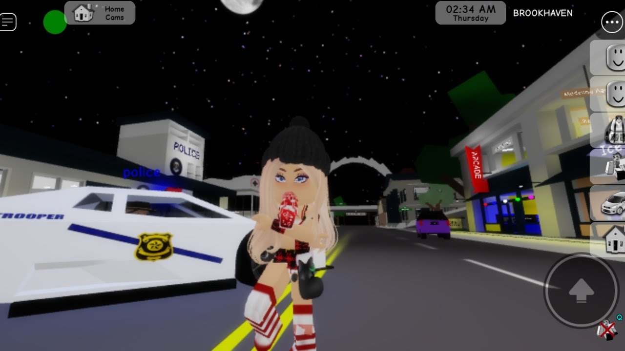 Doing hacks/secrets in Brookhaven! - YouTube