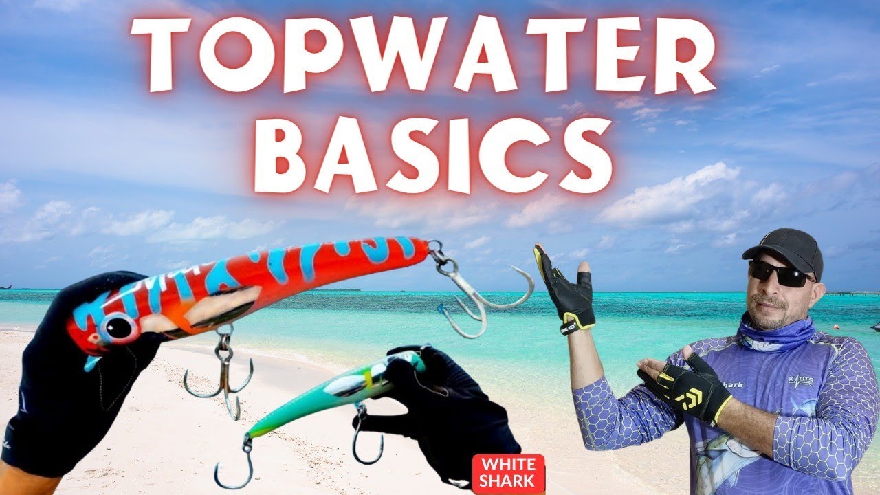 Topwater basics : how a popper warks كيف يعمل البوبر - YouTube