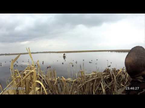 OXOTA NA UTOK NEW !!!!! 2014 - YouTube