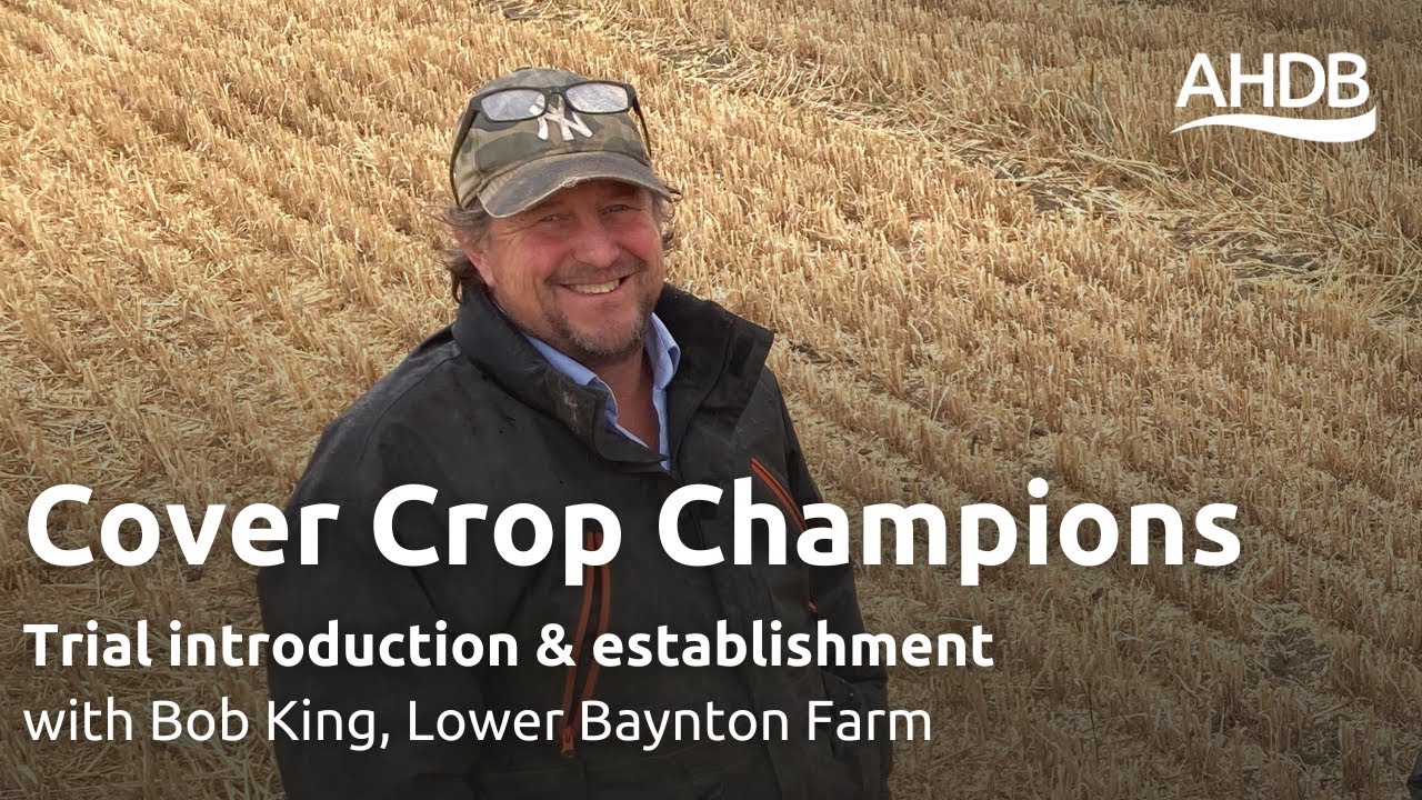 Trial introduction & establishment with Cover Crop Champion Bob King ...