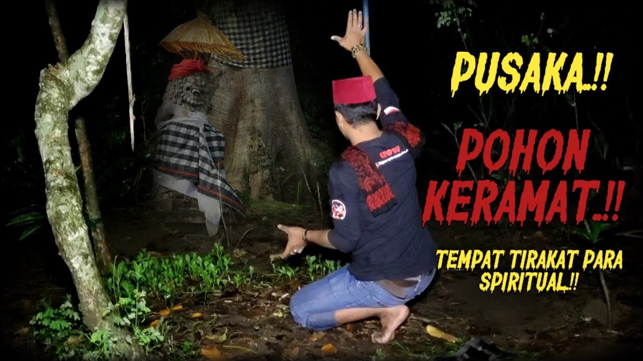 PUSAKA SAKTI‼️POHON KERAMAT‼️TEMPAT TIRAKAT PARA SPIRITUAL - YouTube