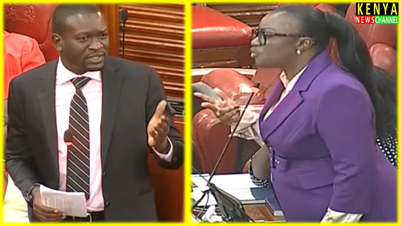 Senator Sifuna vs Senator Gloria Heated Exchange in Senate | Meru ...