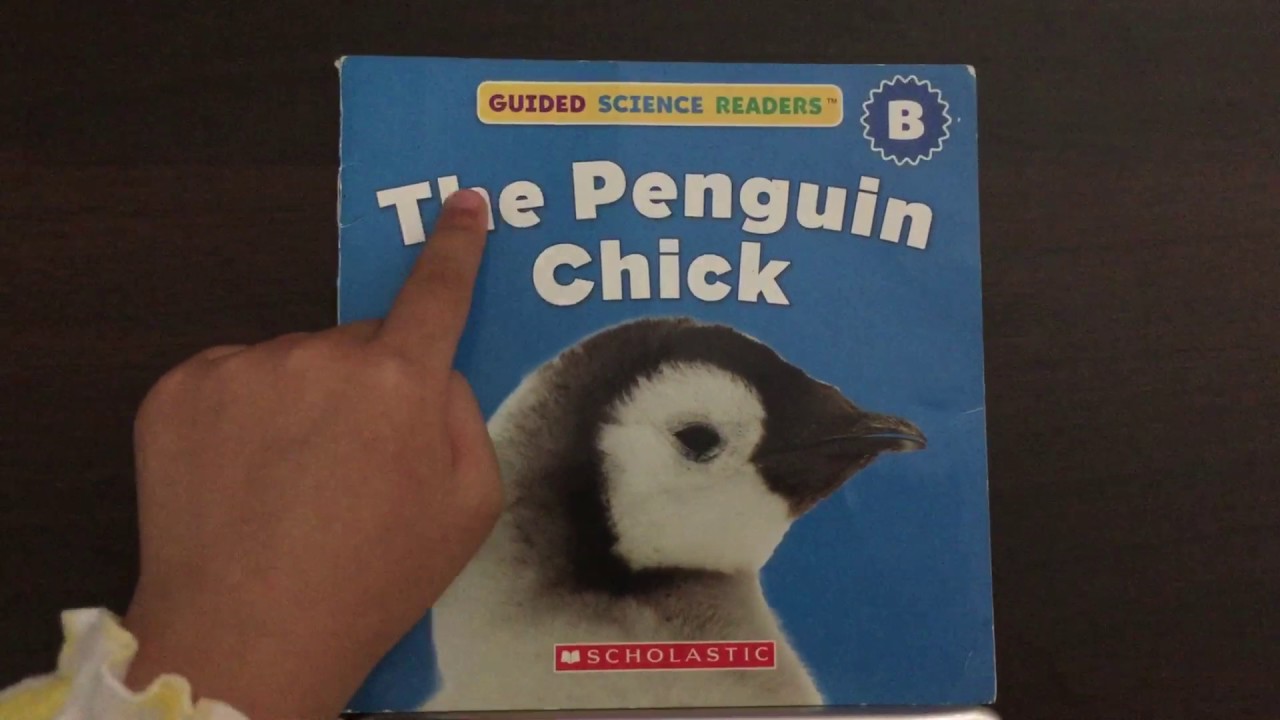 Kid Reading - The Penguin Chick Book Kindergarten Preschool Toddler ...