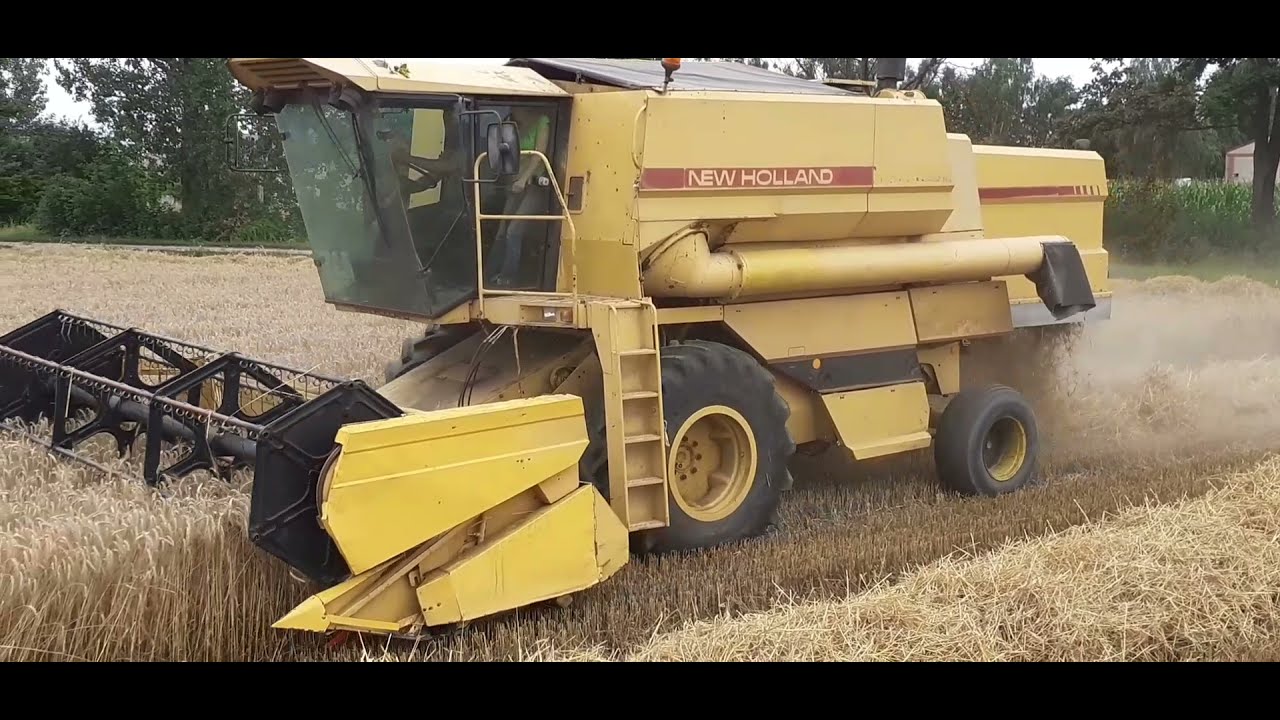 Żniwa 2021🔥New Holland Tx34🔥koszenie pszenżyta - YouTube