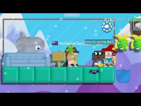 Growtopia MrNimetu Gt | how to revive fish - YouTube