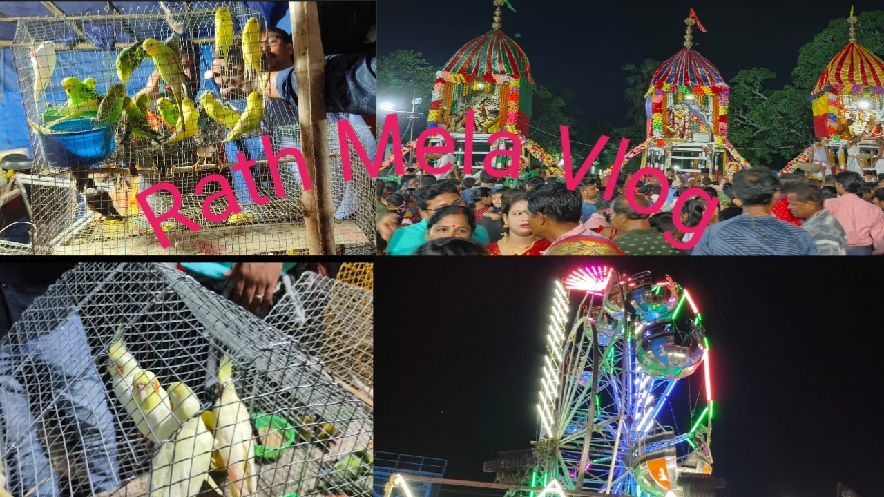 New Rath Mela 2024 🤣😂😅😆😭😭😭😭😭😭😭 Rath Mela Vlog 😭😆😅😂Mela Vlog 😭😀 - YouTube