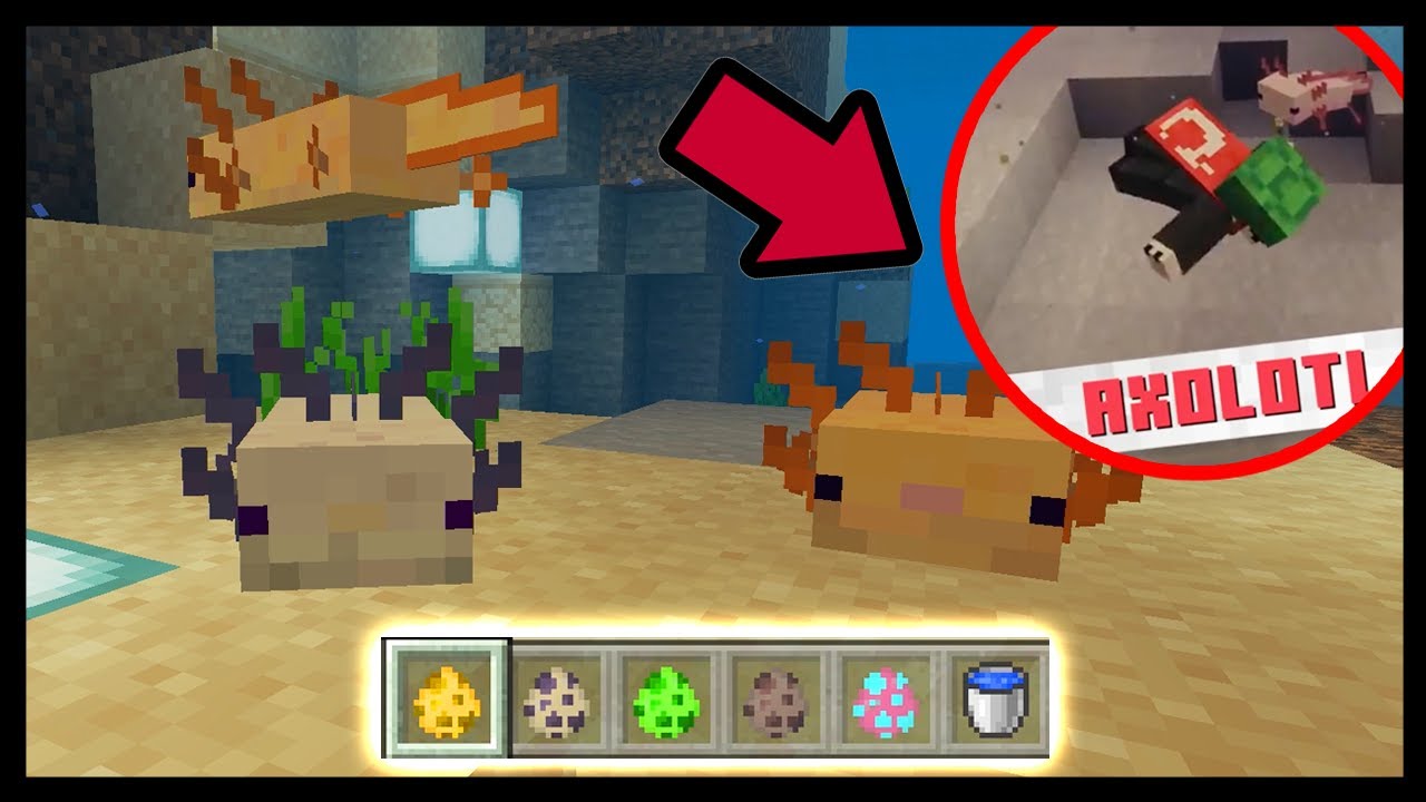 MINECRAFT - JÁ ADICIONARAM AS SALAMANDRAS DA ATUALIZAÇÃO NO JOGO - YouTube