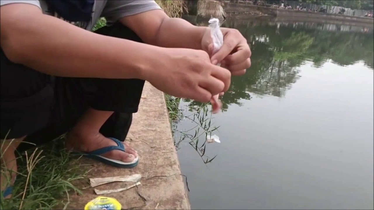 Mencoba Umpan Pelet di Setu Sawangan dan Muara Tujuh Bojongsari Depok ...