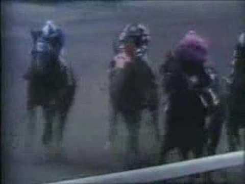 Bold Forbes - 1976 Kentucky Derby - YouTube