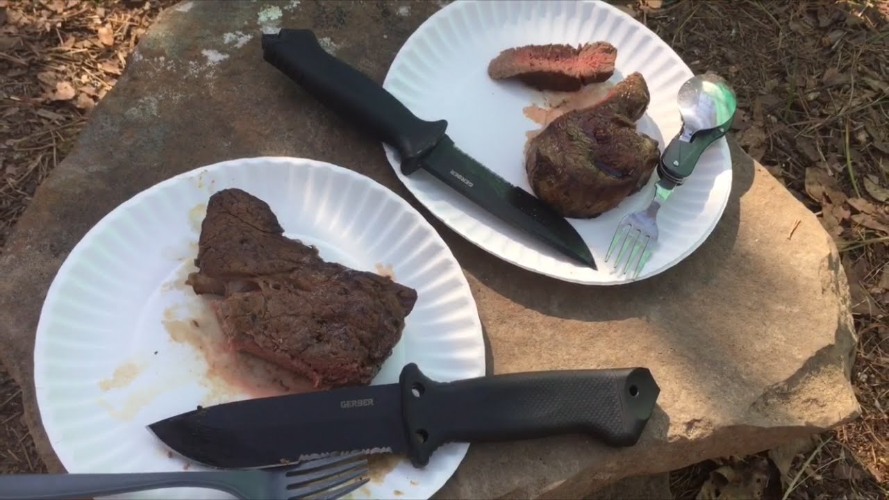 German Shepherd tries Campfire Steak - YouTube