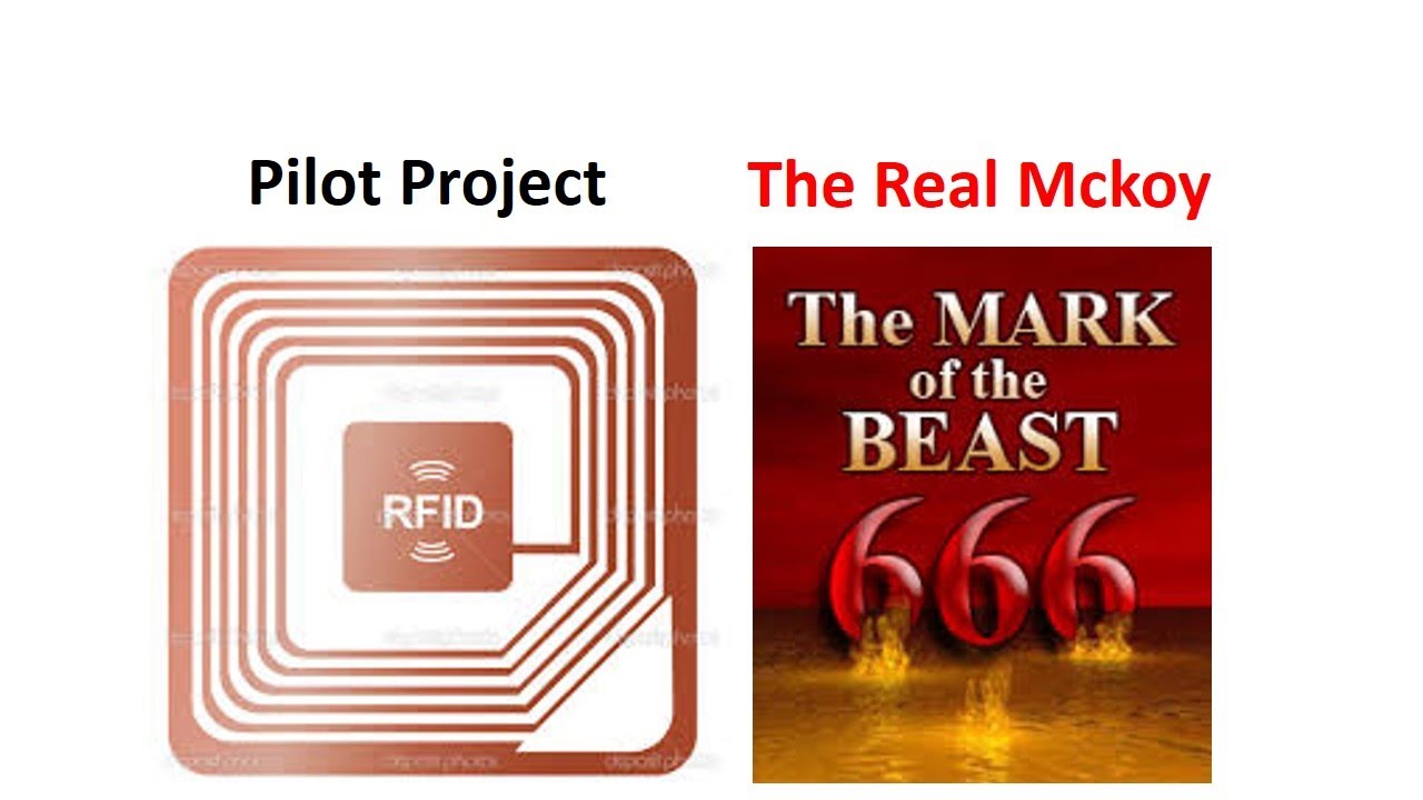 End Time Prophecy 2014 - The RFID Chip Is The Pilot Project To The 666 ...