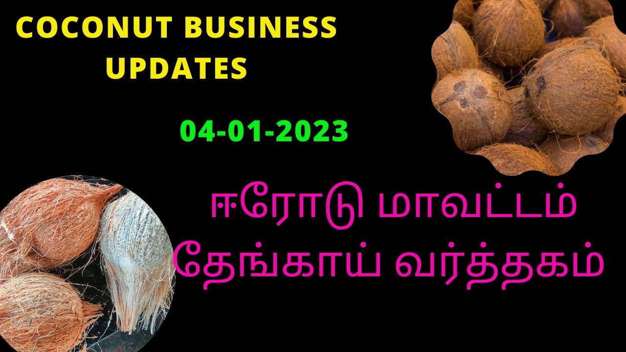மட்டை உரித்த தேங்காய்கள் ஒரு கிலோ விலை | Coconut Business News | Sell ...