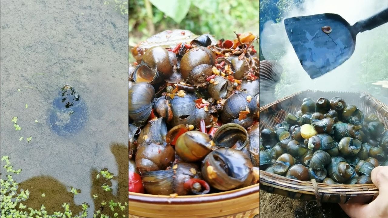 Stir-Fried Rock Snails with Green Pepper and Red Chili - YouTube