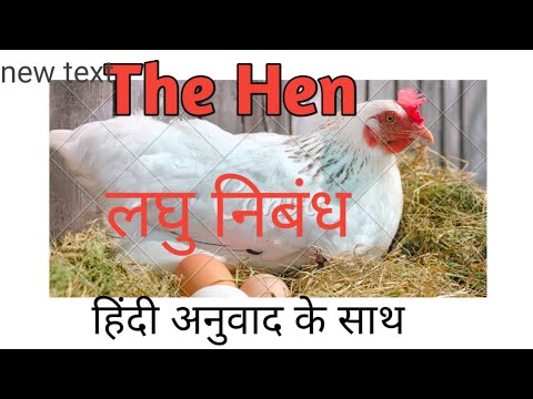 Write an essay on The Hen in English l, मुर्गी पर लघु निबंध हिंदी ...