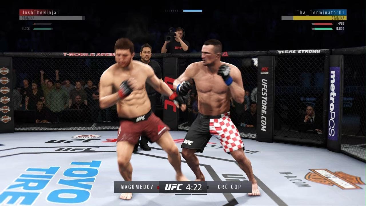 Mirko CRO COP with debilitating kicks - YouTube