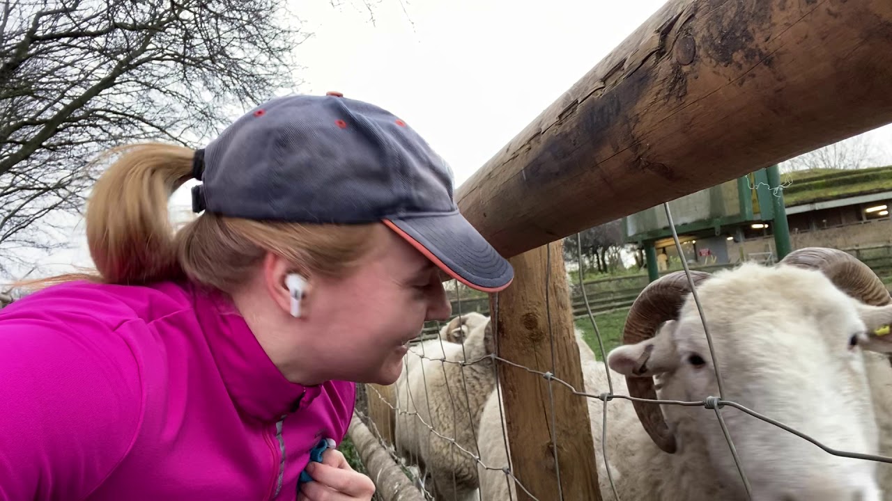 Mudchute Farm 4 - YouTube