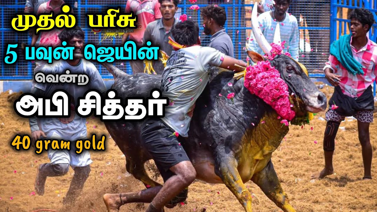 முதல் பரிசு 5 பவுன் ஜெயின் வென்ற அபி சித்தர் 40 gram gold winning ...