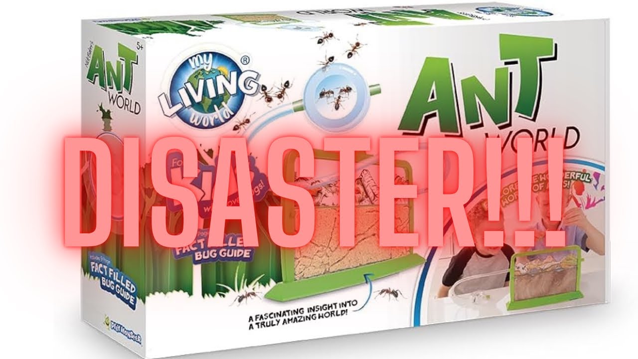 My First Attempt at Ant Keeping. Ant World My Living World Review - YouTube