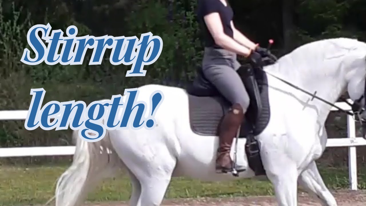 Correct stirrup length! How to adjust your stirrups for dressage? - YouTube