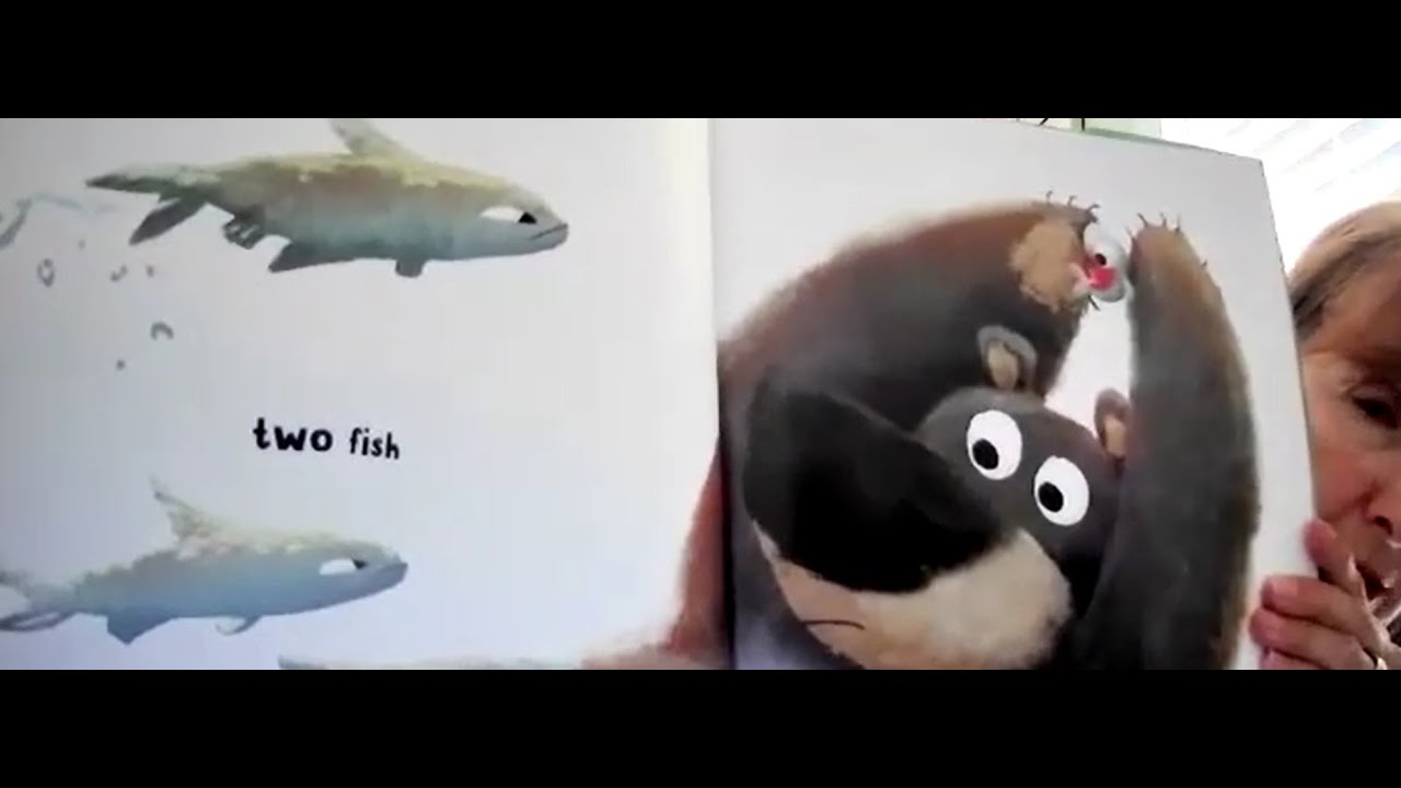 A Bear, A Fish and a fishy wish AND Push Button - YouTube