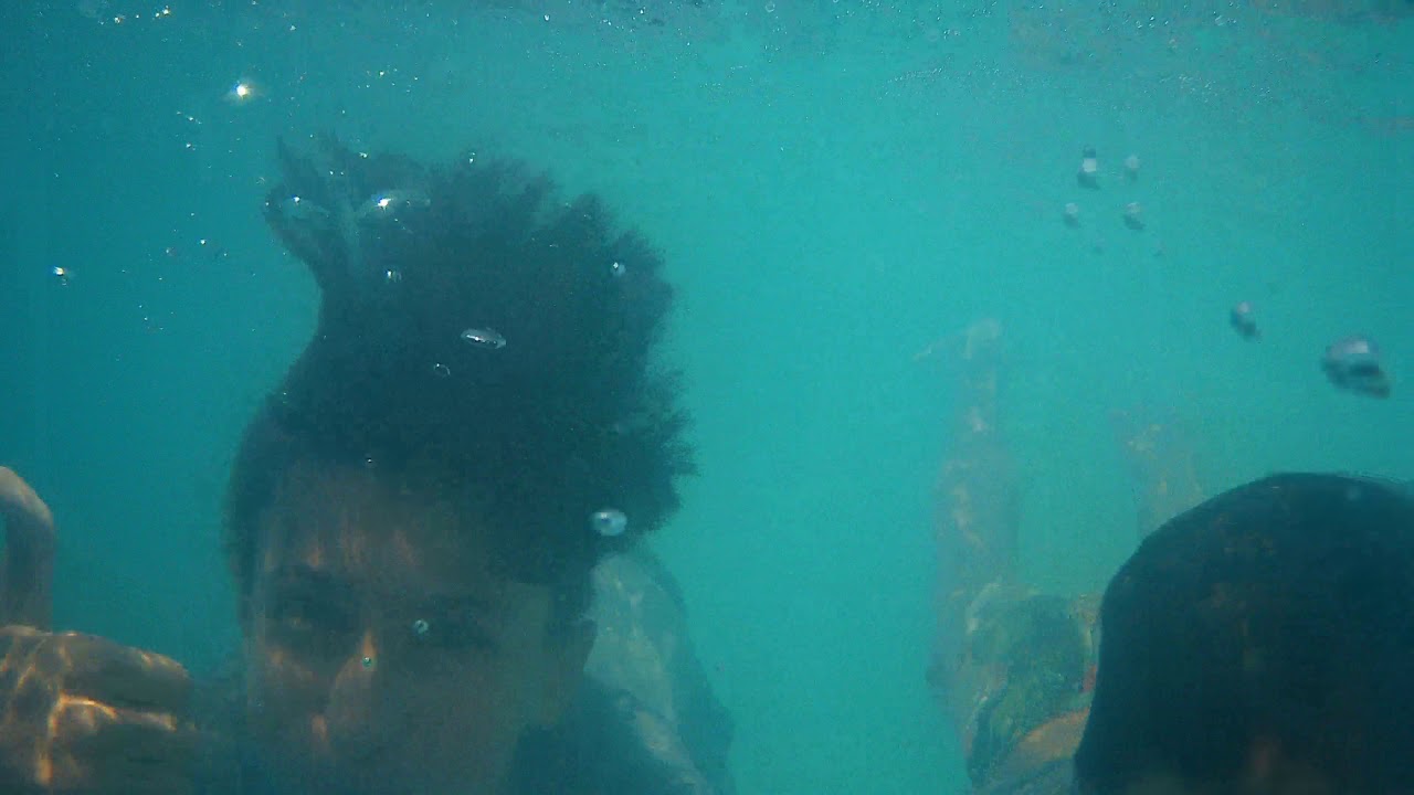 bernardo e heitor mergulhando1 - YouTube