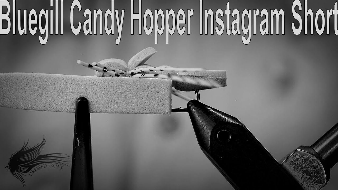 Bluegill Candy Hopper Instagram Short - YouTube